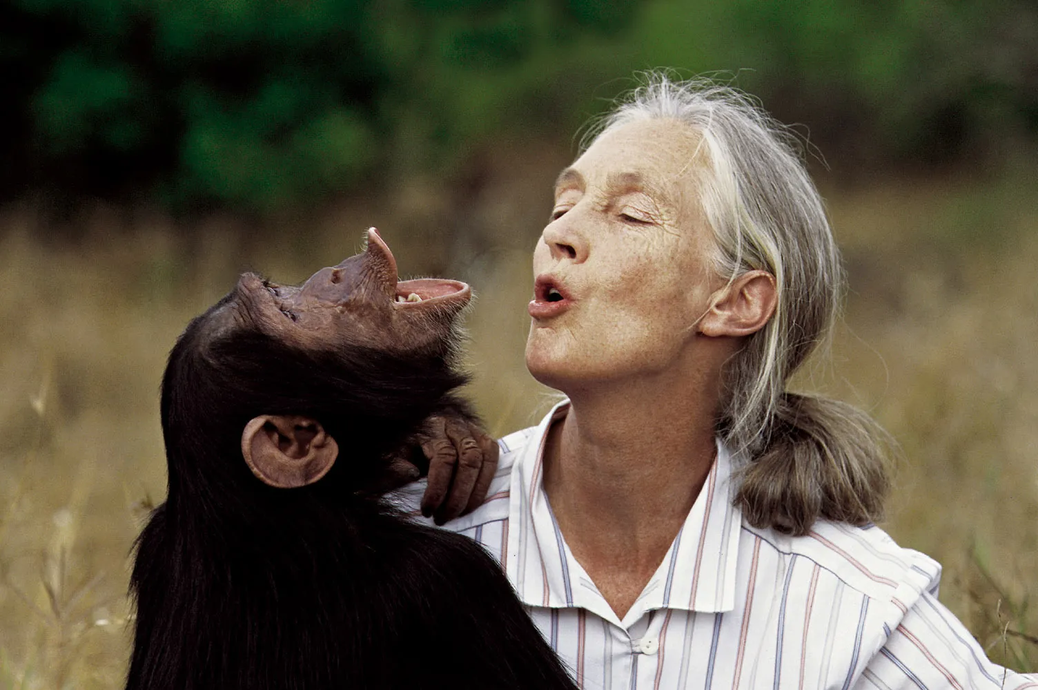 Rest In Power, Jane Goodall! – Zane Says