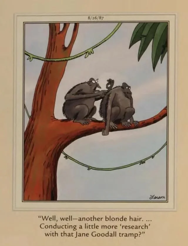Rest In Power, Jane Goodall! – Zane Says
